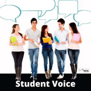 Student Voice as Reflective Feedback - SmithTeaches9to12
